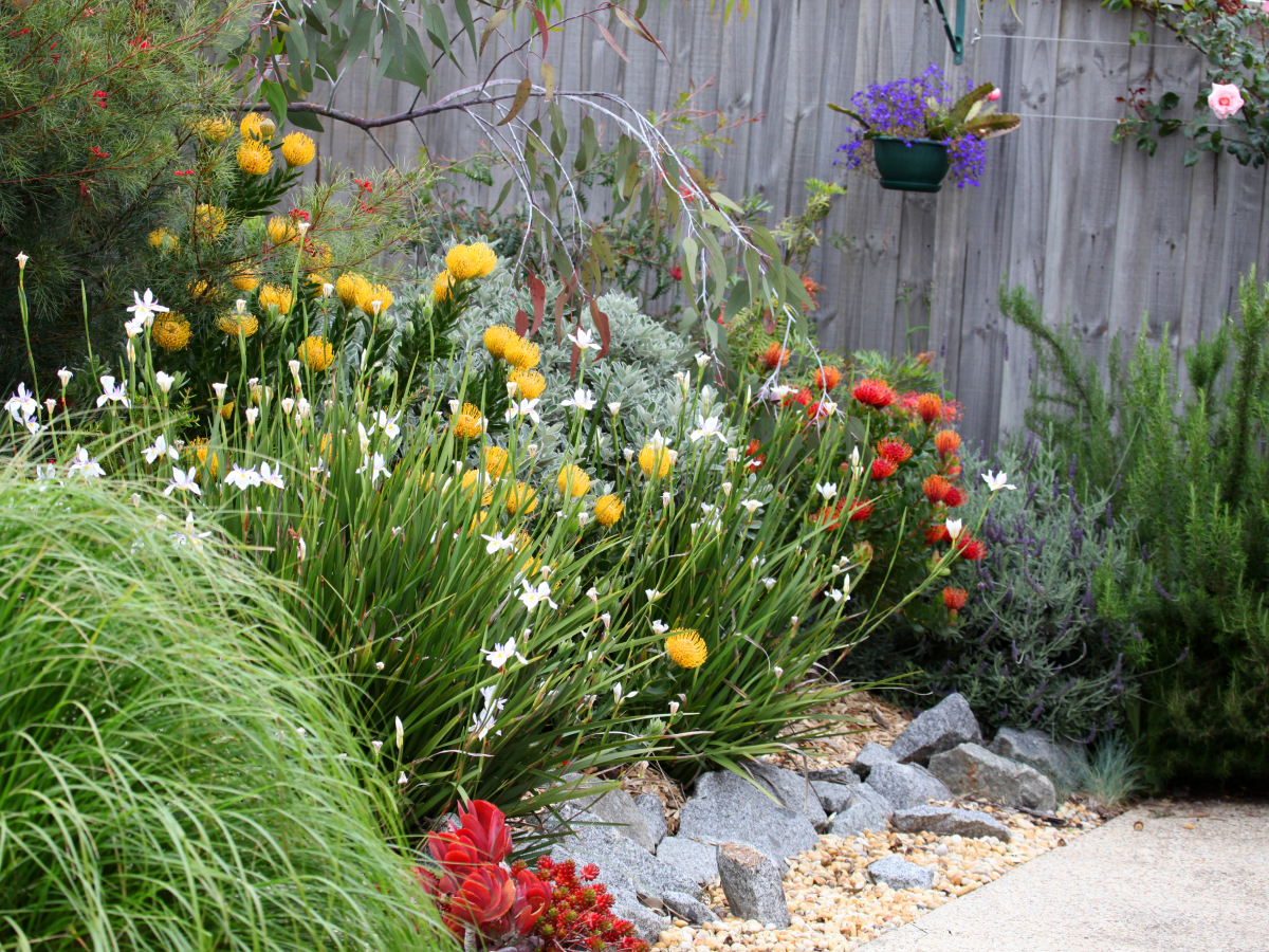 Native vs. non-native plants - What to choose - Greatposts.com - Great ...